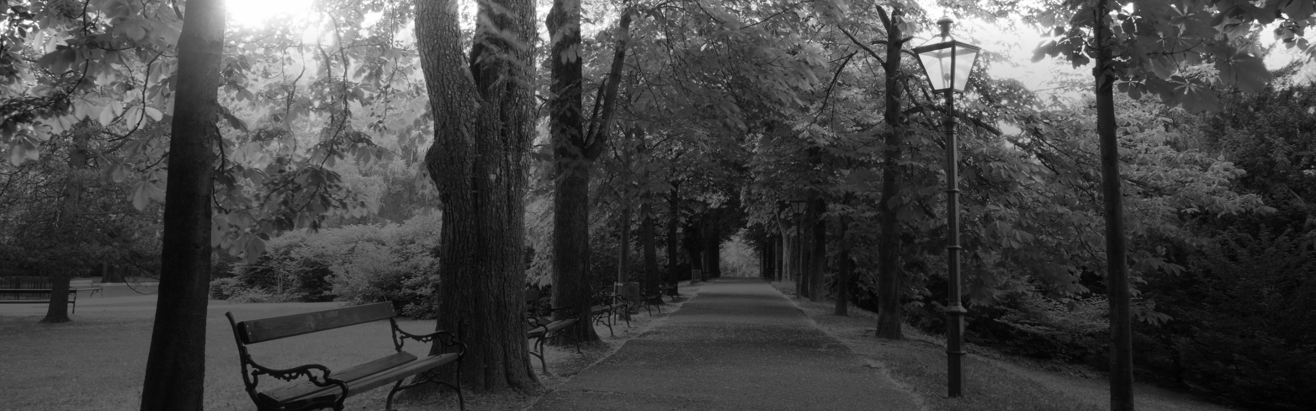 Events | Integrated Wealth Solutions : Integrated Wealth Solutions